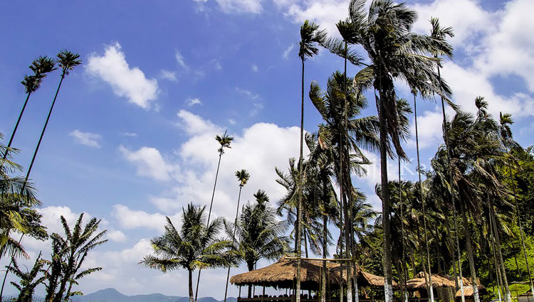 Best Resort in Assam